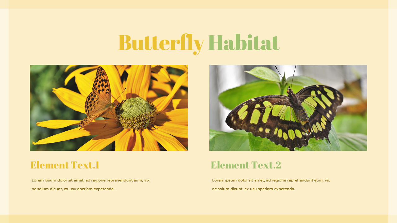 Butterfly Google presentation|Lifestyle|Slides