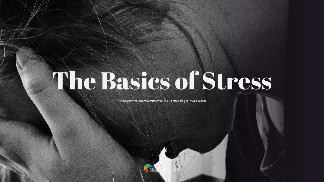 The Basics of Stress Google presentation