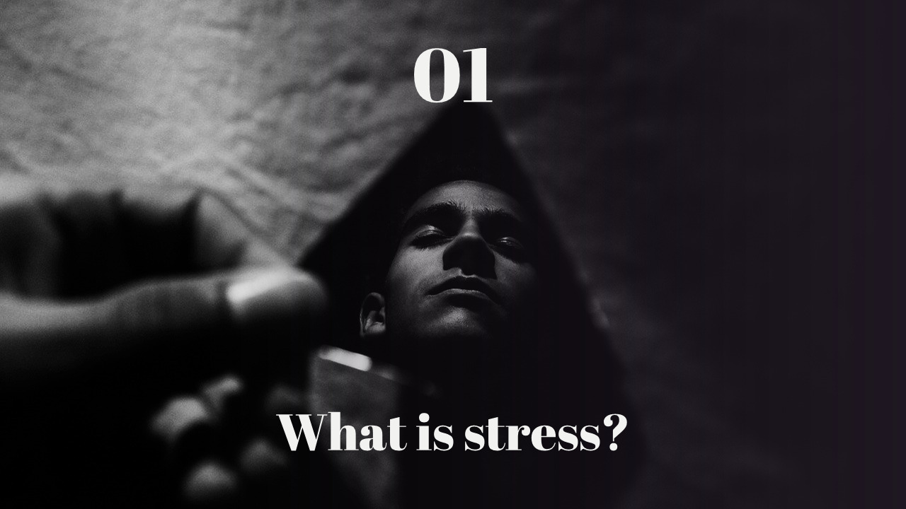 The Basics of Stress Google presentation