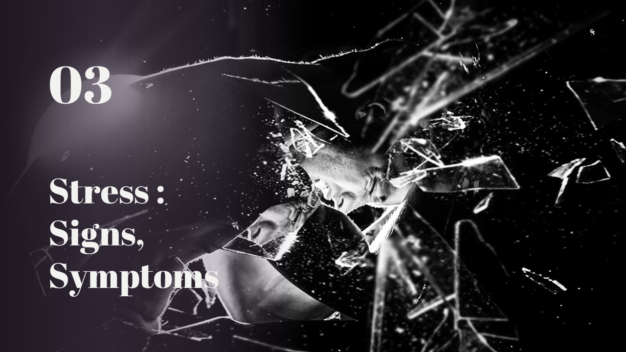 The Basics of Stress Google presentation