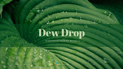 Dew Drop PowerPoint Templates Design|Lifestyle