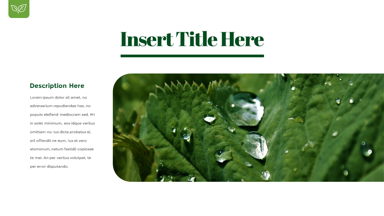 Dew Drop PowerPoint Templates Design|Lifestyle