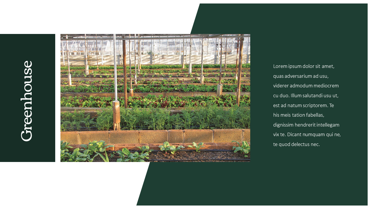 Greenhouse Templates Design|Lifestyle|PPT
