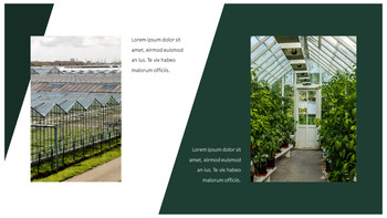 Greenhouse Templates Design|Lifestyle|PPT