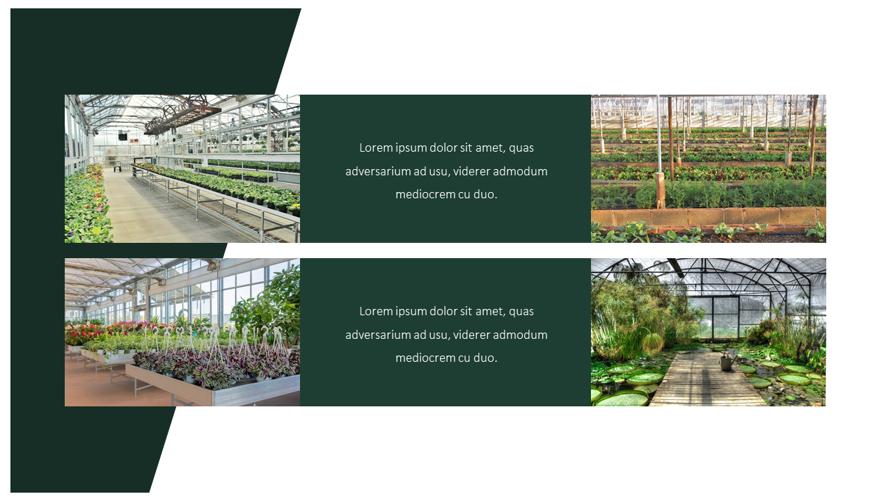 Greenhouse Templates Design|Lifestyle|PPT