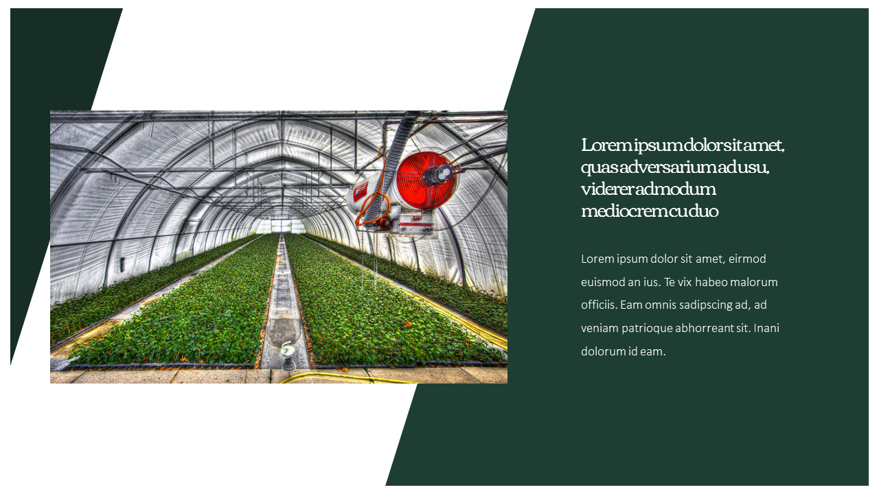 Greenhouse Templates Design|Lifestyle|PPT