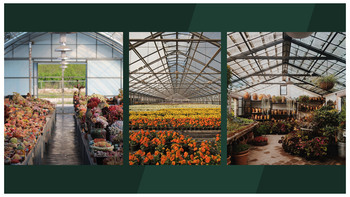 Greenhouse Templates Design|Lifestyle|PPT
