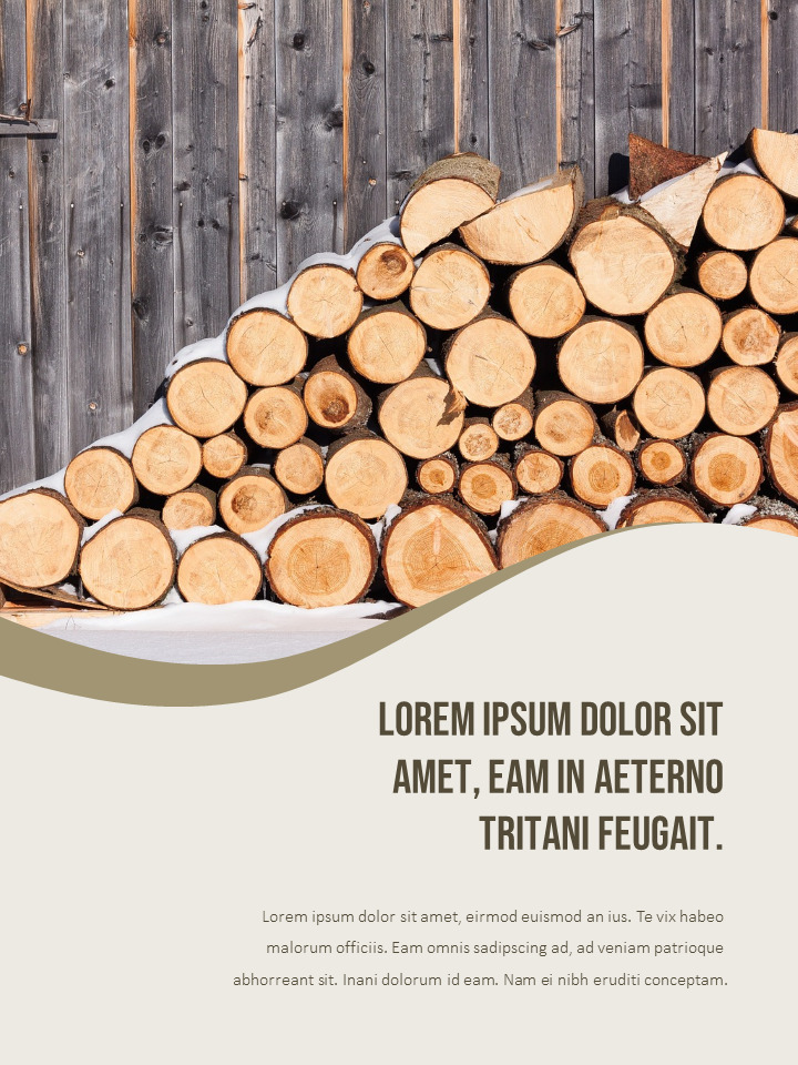 House Construction & Carpentry team presentation template