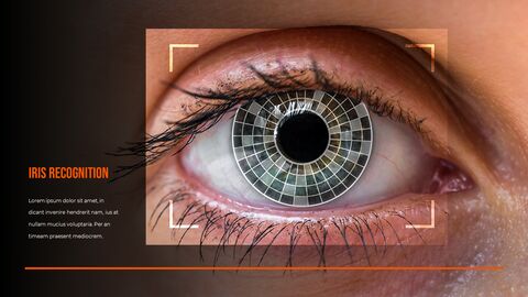 Information Privacy Action plan PPT