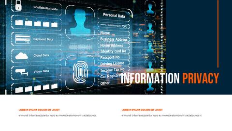 Information Privacy Action plan PPT