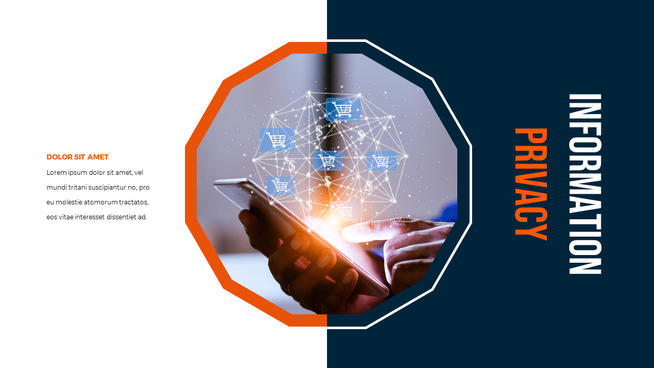 Information Privacy Action plan PPT