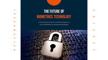 Information Privacy Action plan PPT