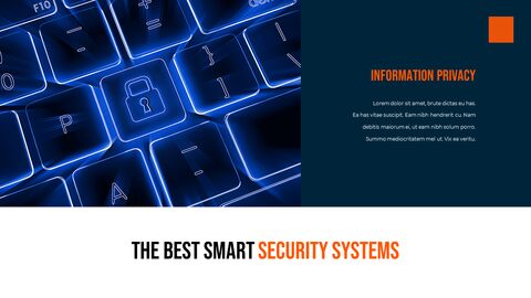 Information Privacy Action plan PPT