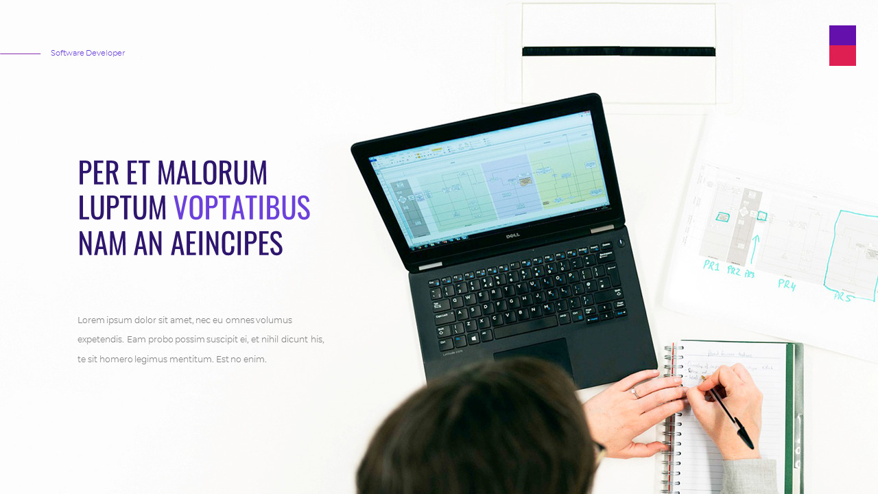 Software Developer Presentation Google Slides Templates