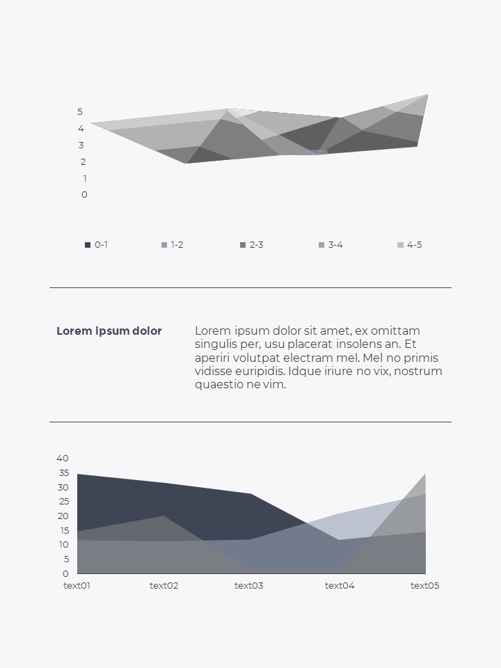 Graphic Design Agency Portfolio company profile template design