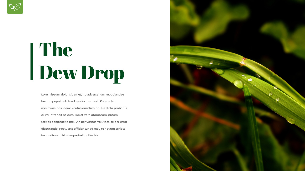 Dew Drop slides presentation|Lifestyle|Google