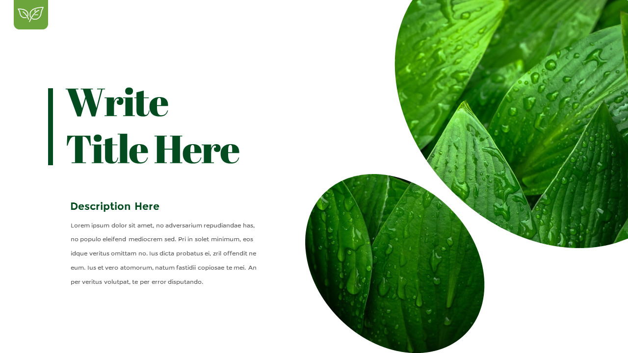 Dew Drop slides presentation|Lifestyle|Google