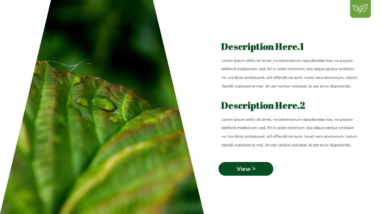 Dew Drop slides presentation|Lifestyle|Google