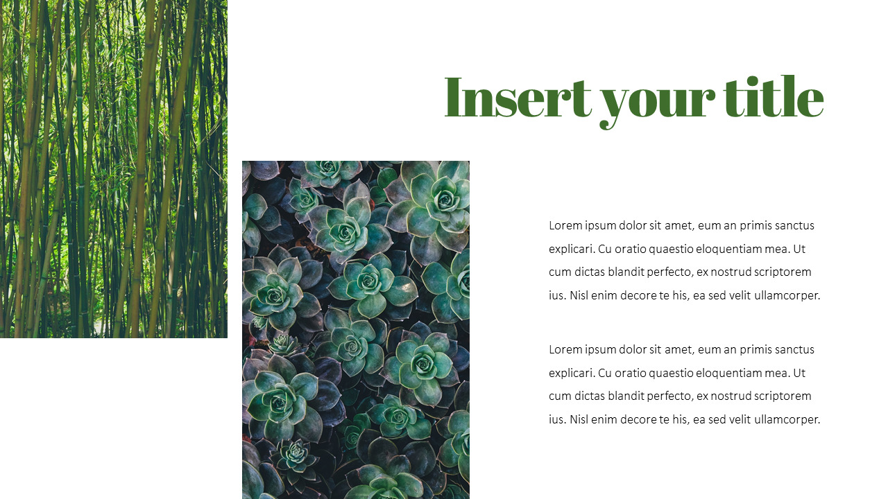 Green Spectrum professional presentation|Lifestyle|PPT Templates