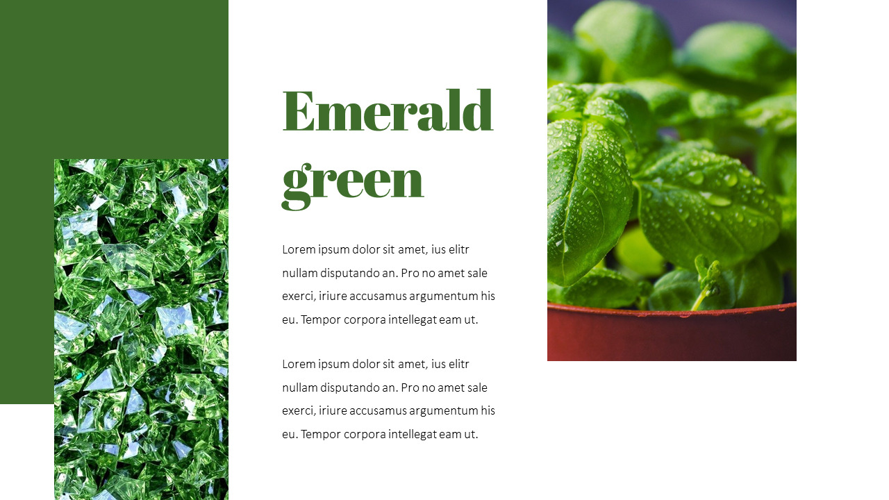 Green Spectrum professional presentation|Lifestyle|PPT Templates