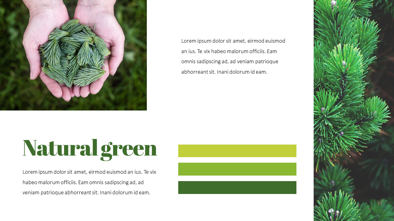Green Spectrum professional presentation|Lifestyle|PPT Templates
