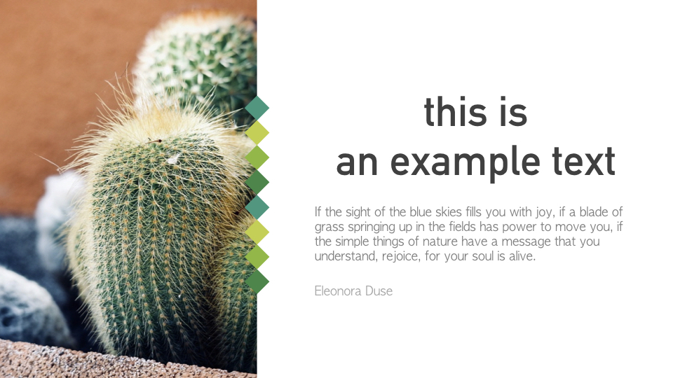 Cactus Keynote Presentation Template|Lifestyle
