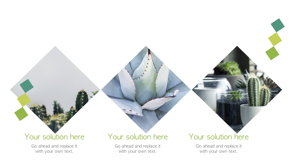 Cactus Keynote Presentation Template|Lifestyle