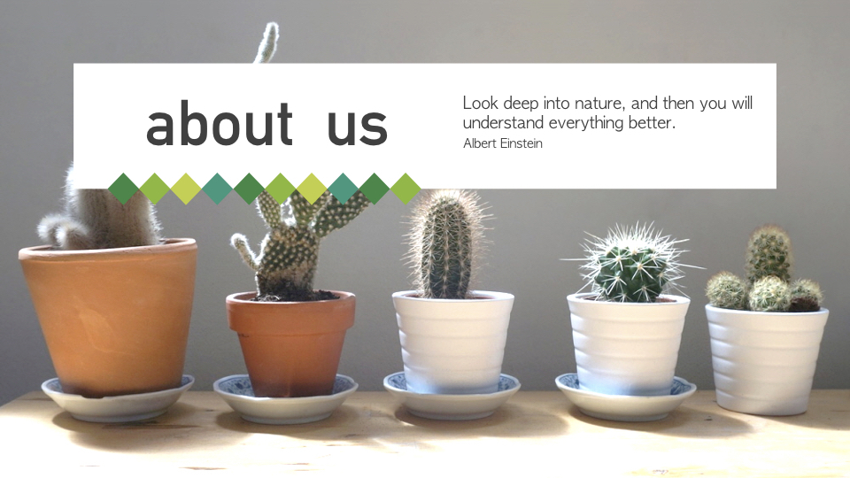 Cactus Keynote Presentation Template|Lifestyle