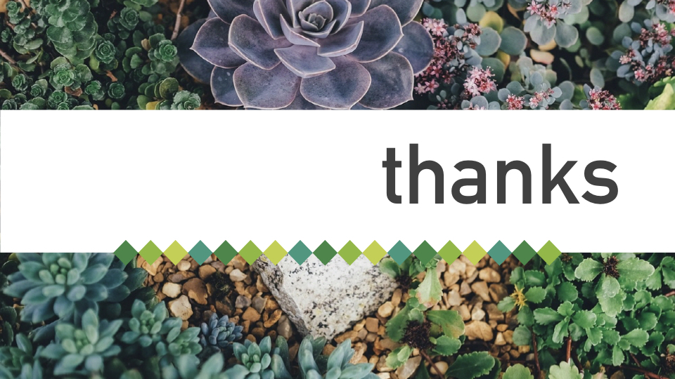 Cactus Keynote Presentation Template|Lifestyle