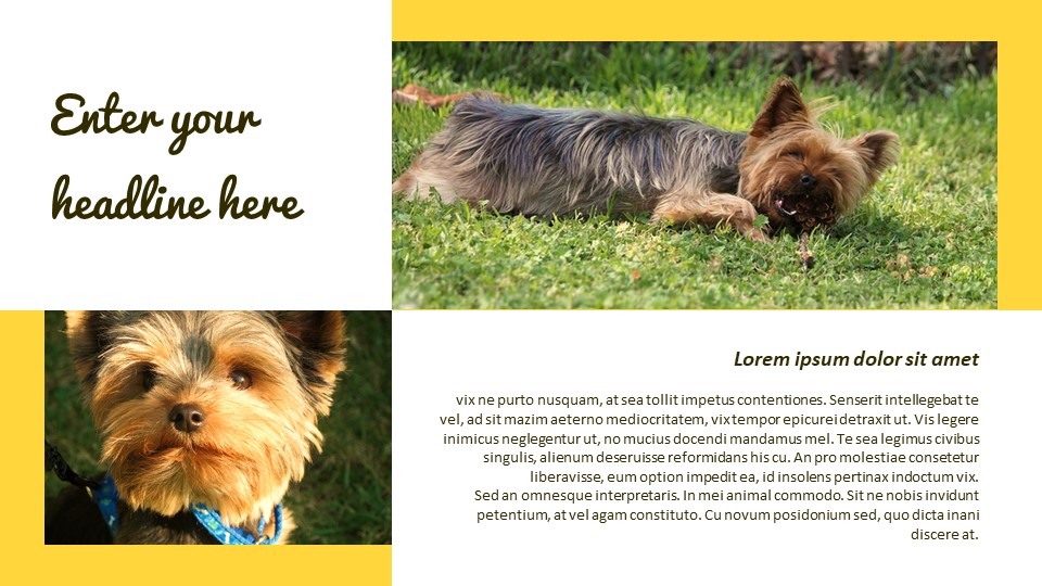 Puppy Behavior Analysis Google Presentation Slides|Animal