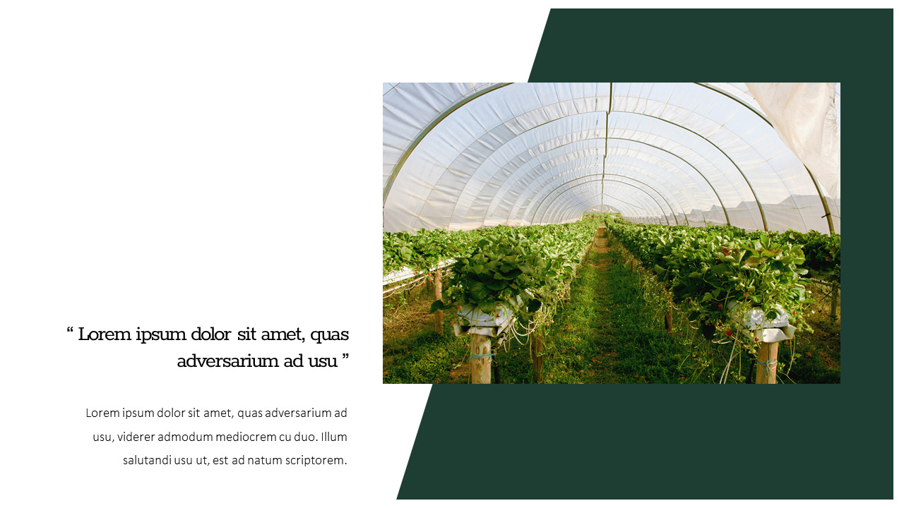 Greenhouse Google presentation|Lifestyle|Slides