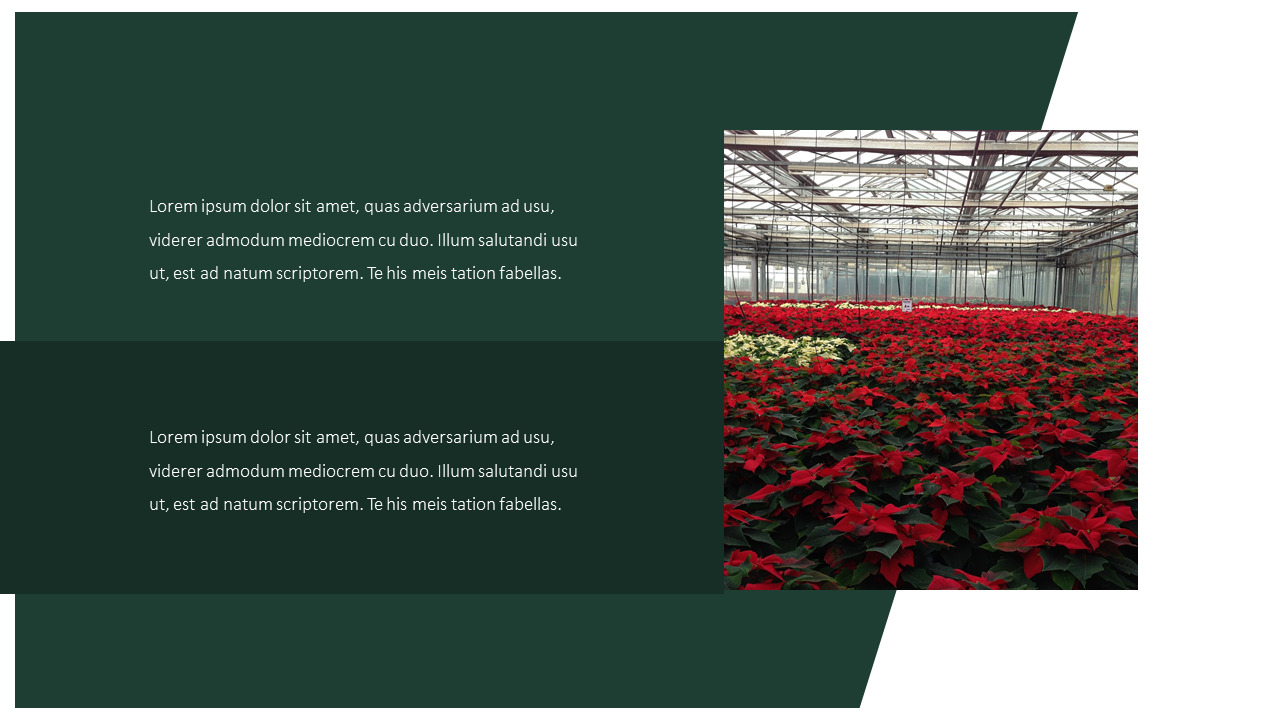 Greenhouse Google presentation|Lifestyle|Slides