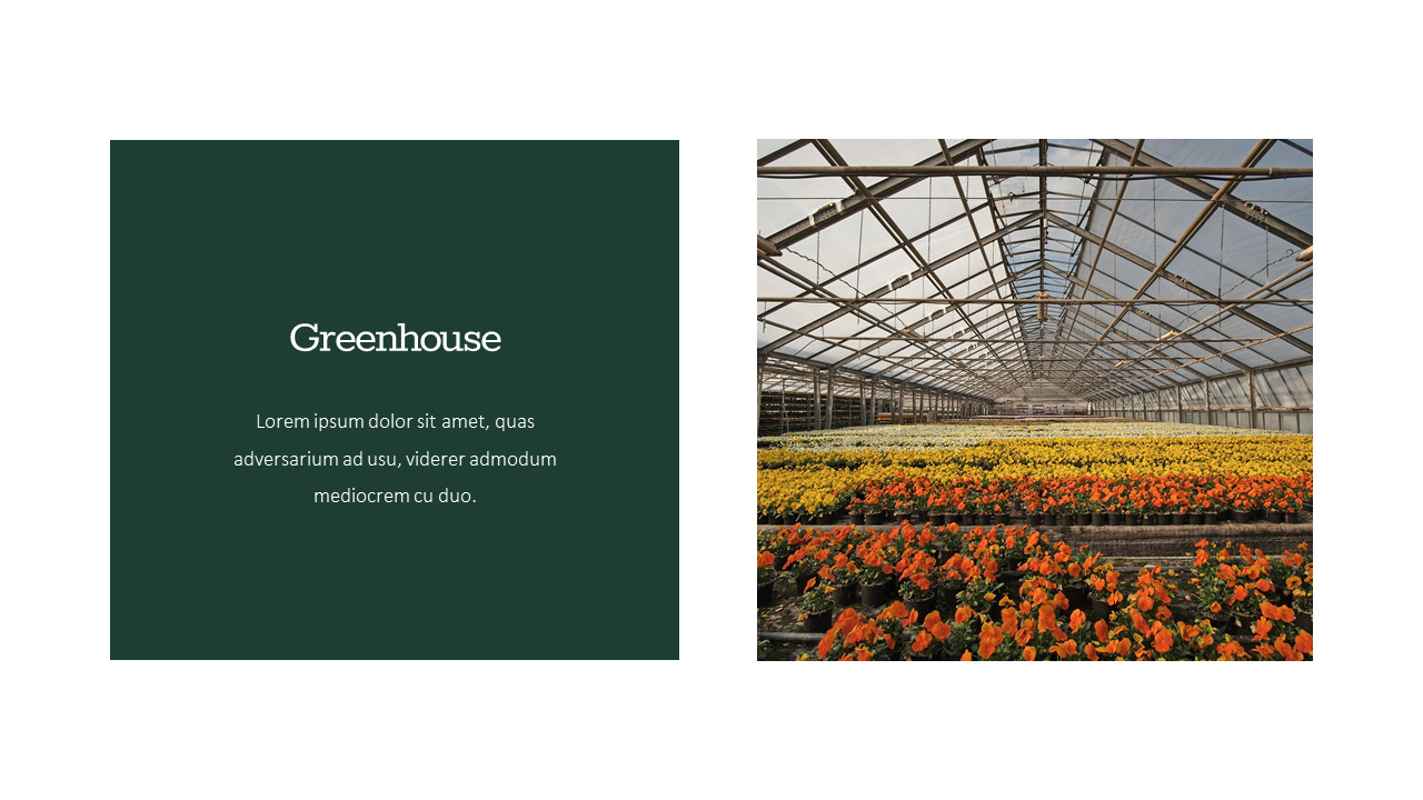 Greenhouse Google presentation|Lifestyle|Slides