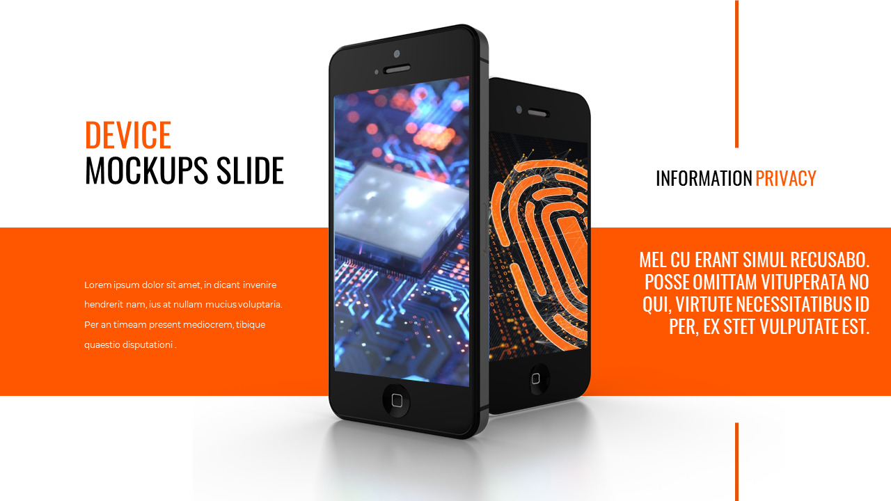 Information Privacy Google Slides Presentation