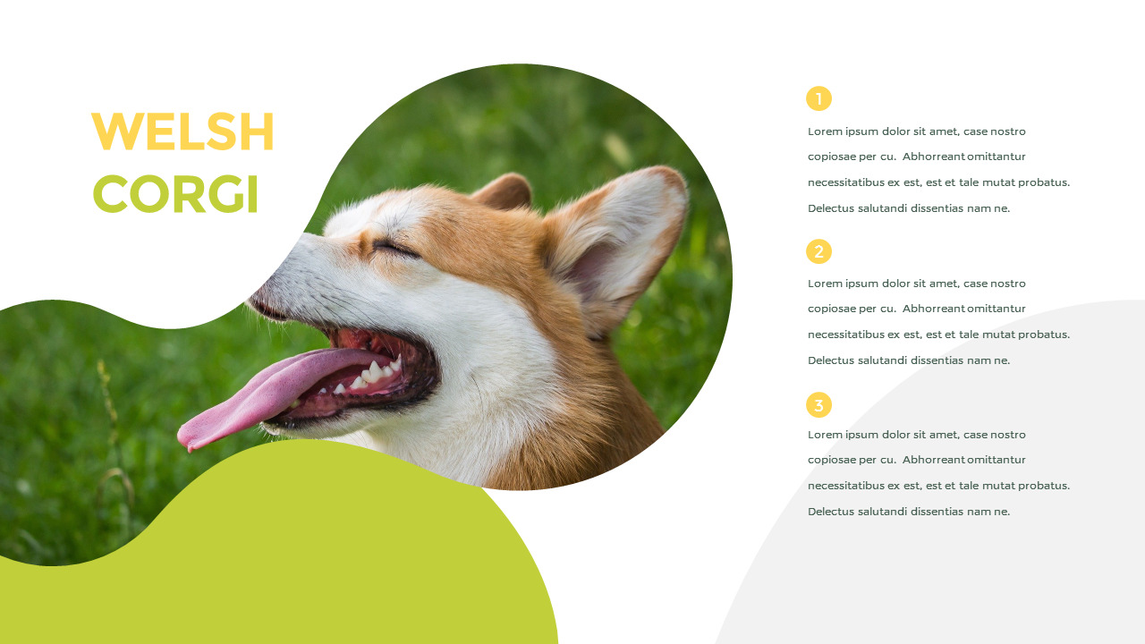 All Dog Breeds PowerPoint Presentation Templates|Lifestyle