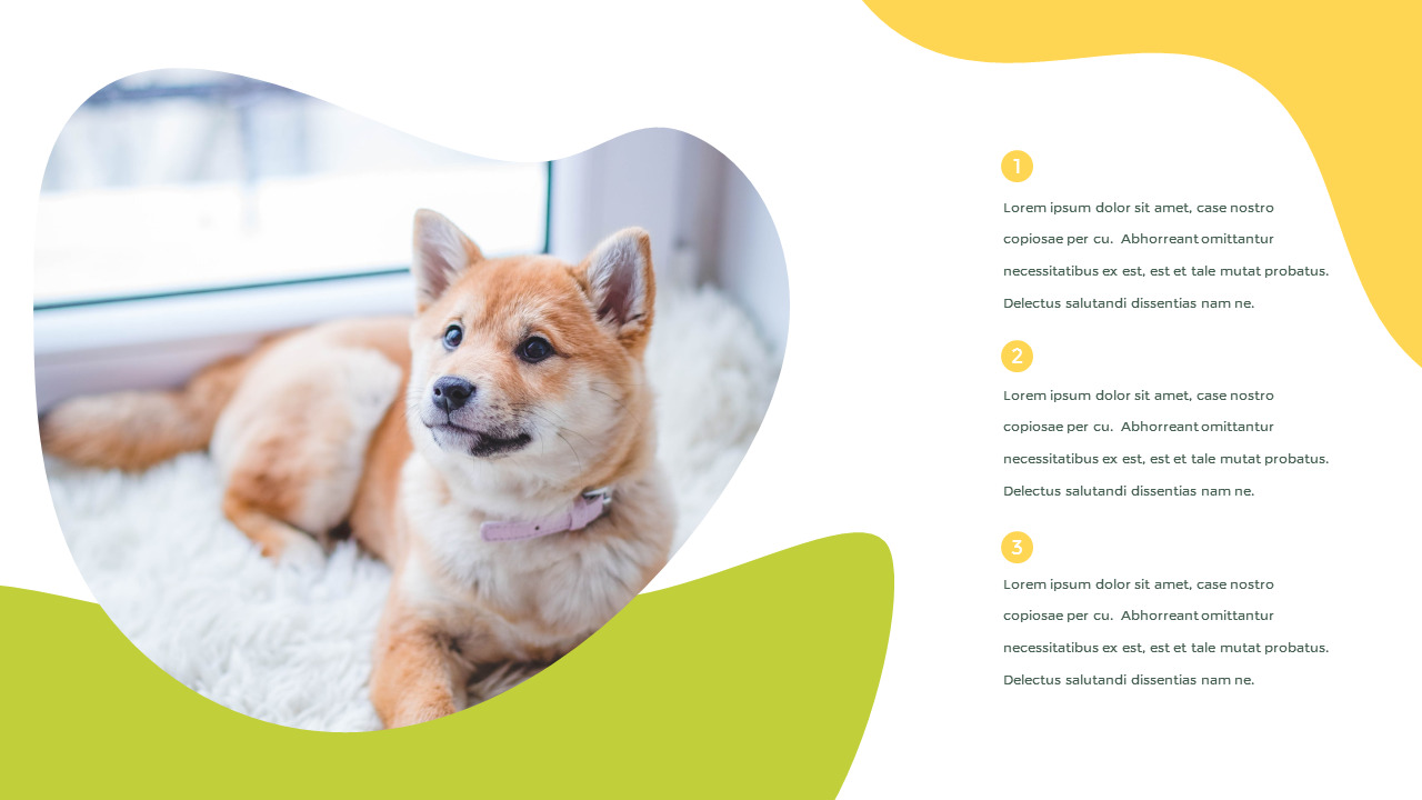 All Dog Breeds PowerPoint Presentation Templates|Lifestyle