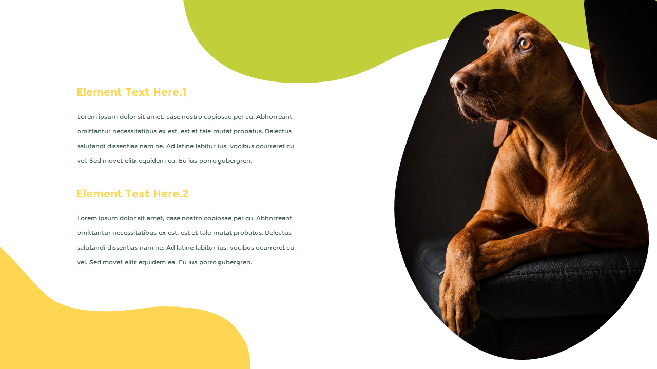 All Dog Breeds PowerPoint Presentation Templates|Lifestyle