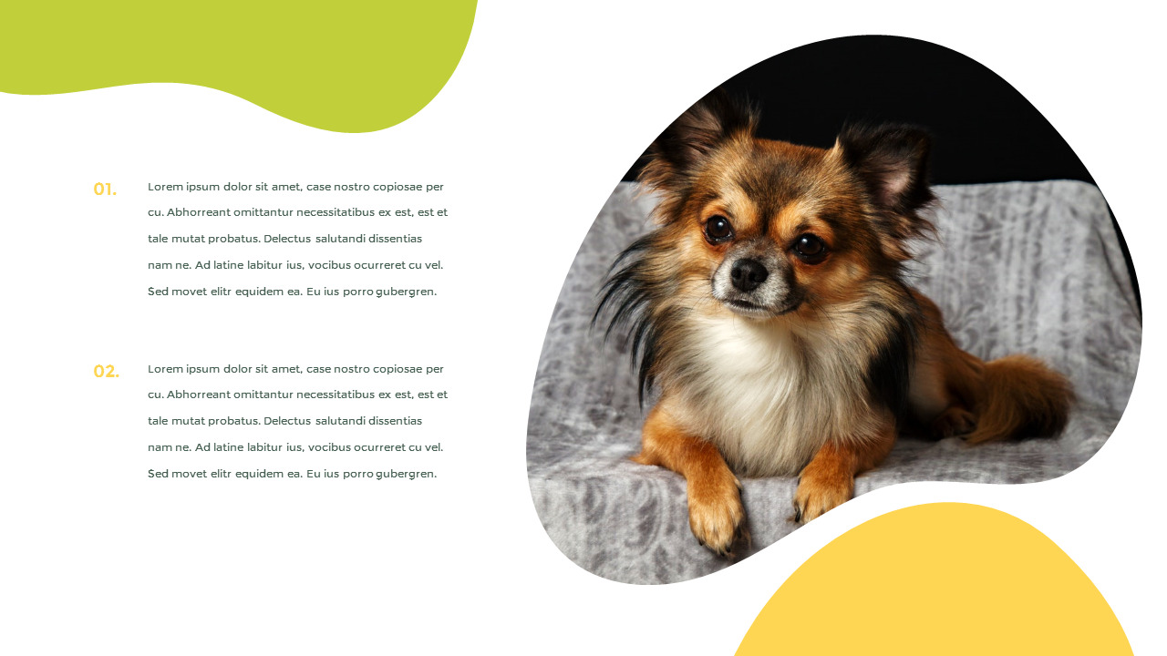 All Dog Breeds PowerPoint Presentation Templates|Lifestyle