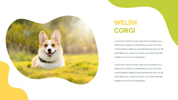 All Dog Breeds PowerPoint Presentation Templates|Lifestyle
