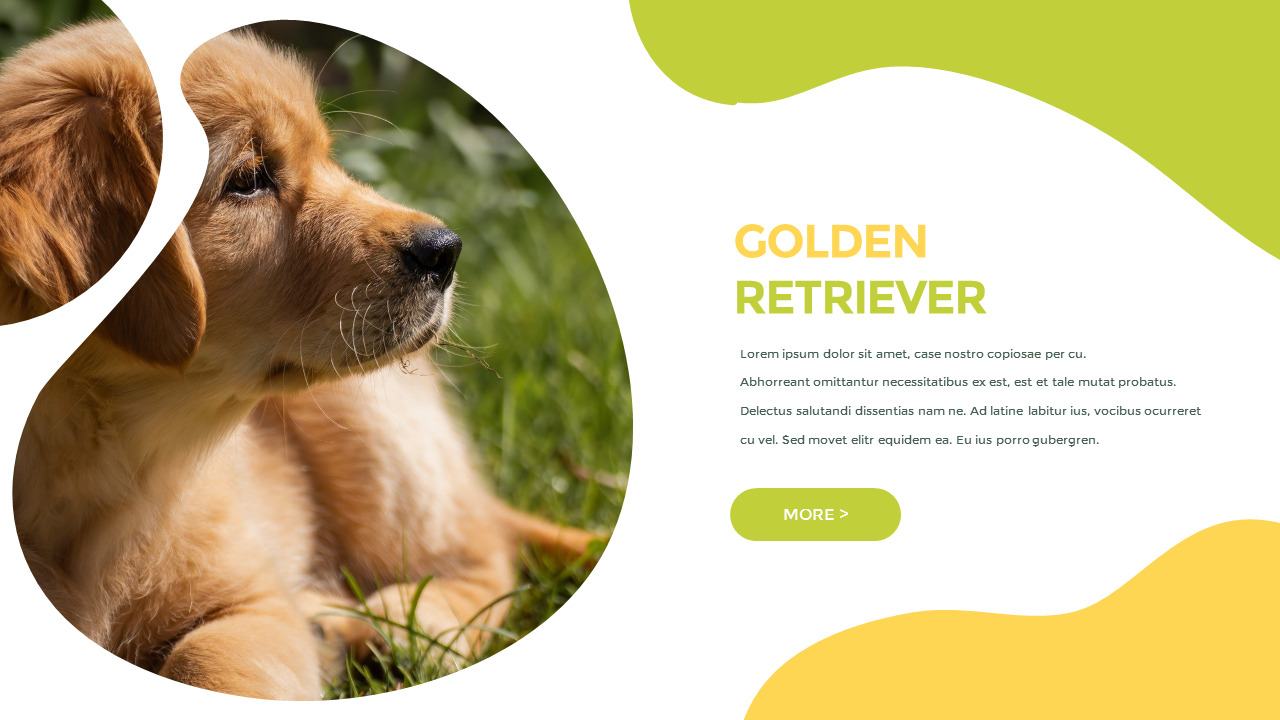 All Dog Breeds PowerPoint Presentation Templates|Lifestyle