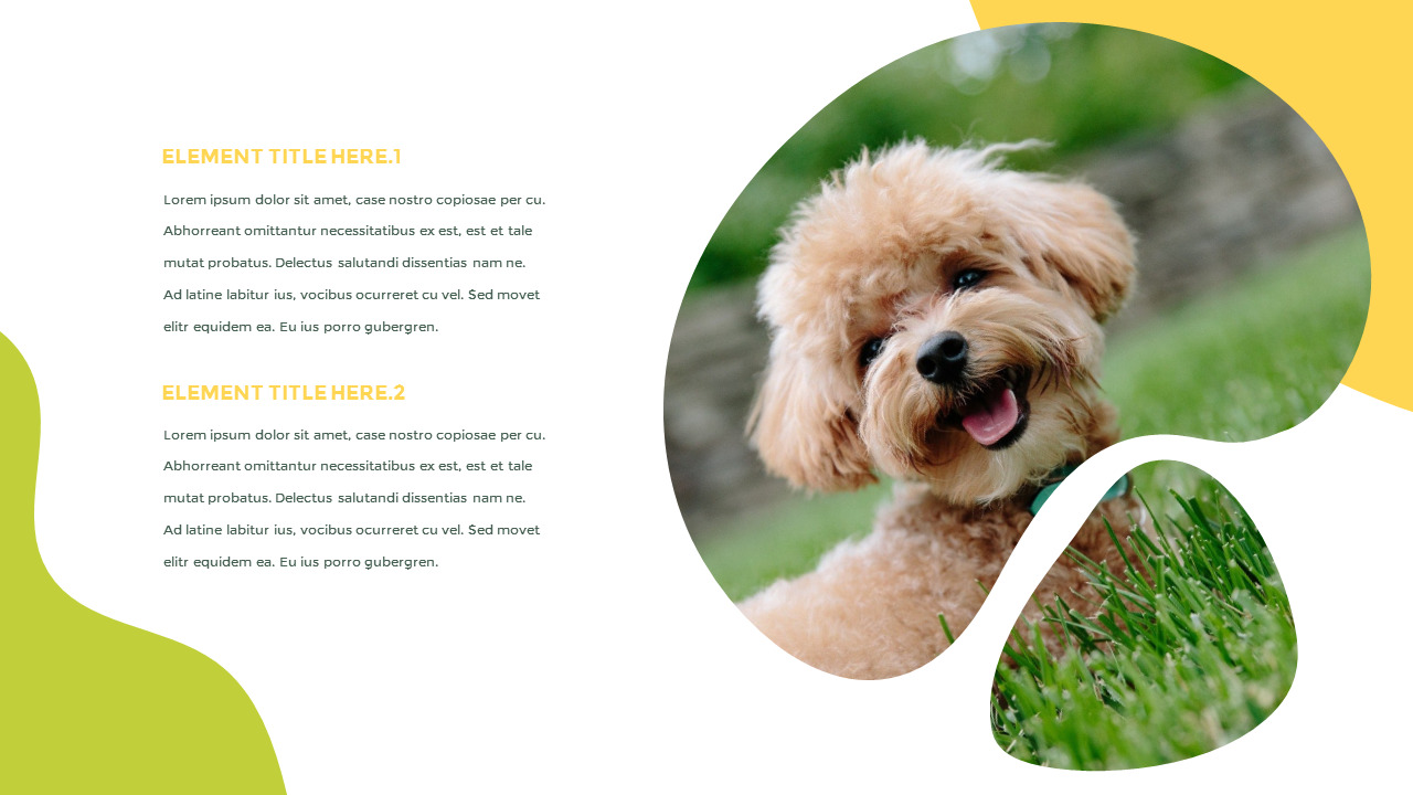 All Dog Breeds PowerPoint Presentation Templates|Lifestyle