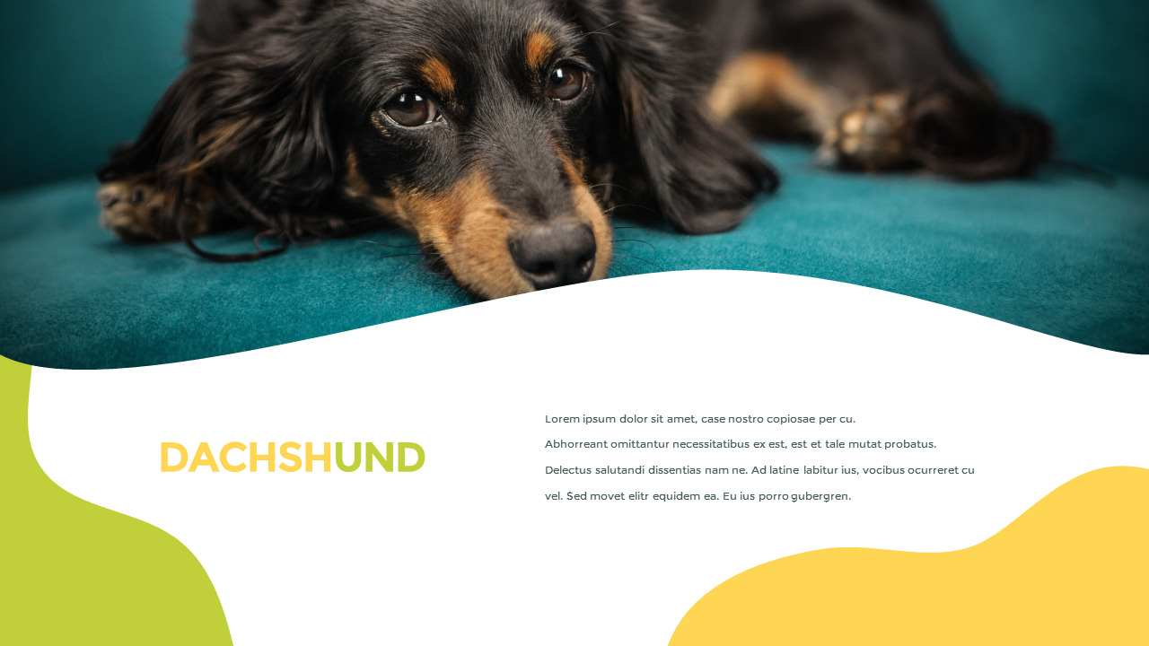 All Dog Breeds PowerPoint Presentation Templates|Lifestyle