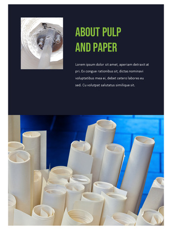 Pulp and Paper Industry Startup PPT Templates
