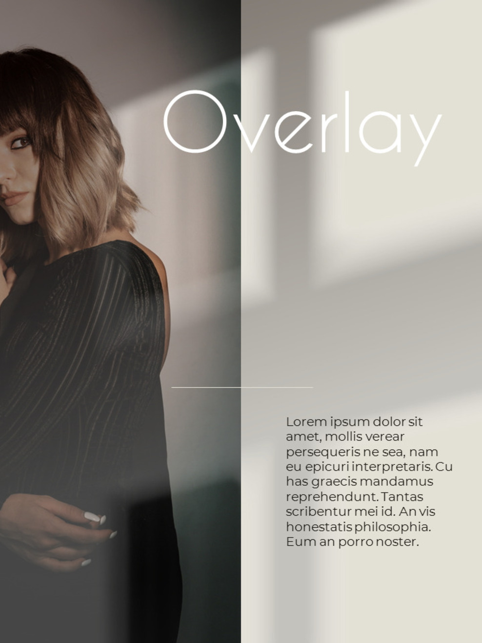 Shadow Concept Vertical ppt template