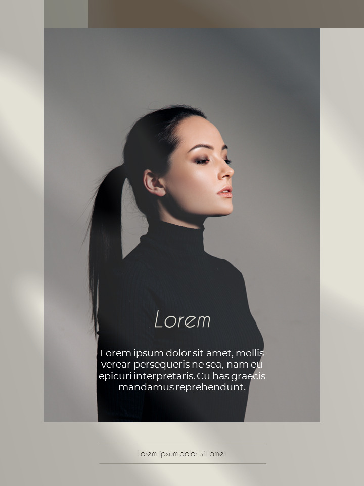 Shadow Concept Vertical ppt template