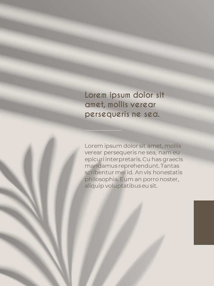 Shadow Concept Vertical ppt template