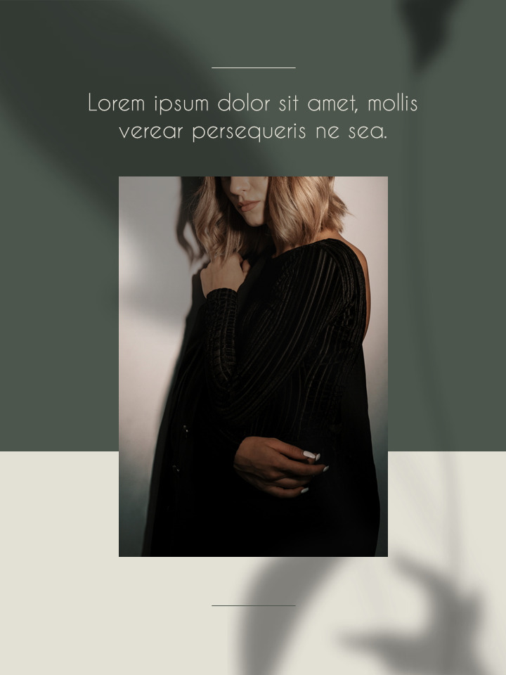 Shadow Concept Vertical ppt template