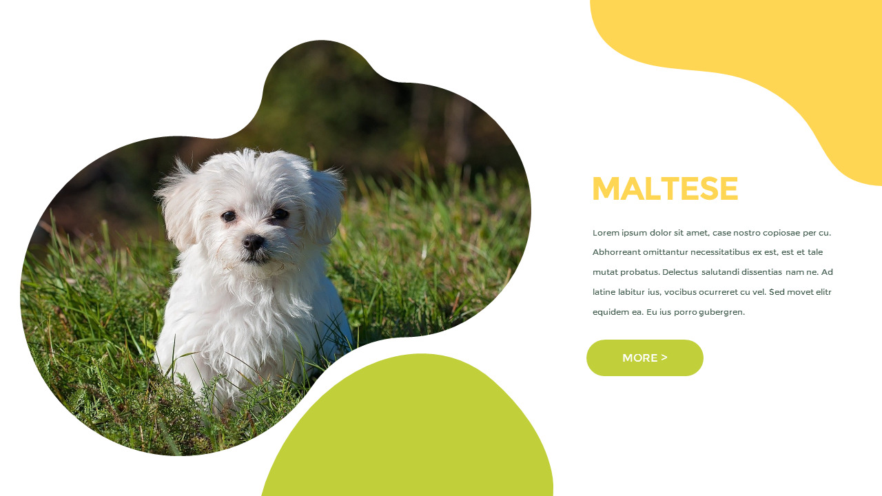 All Dog Breeds Google Slides for mac|Lifestyle
