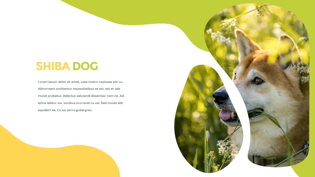 All Dog Breeds Google Slides for mac|Lifestyle