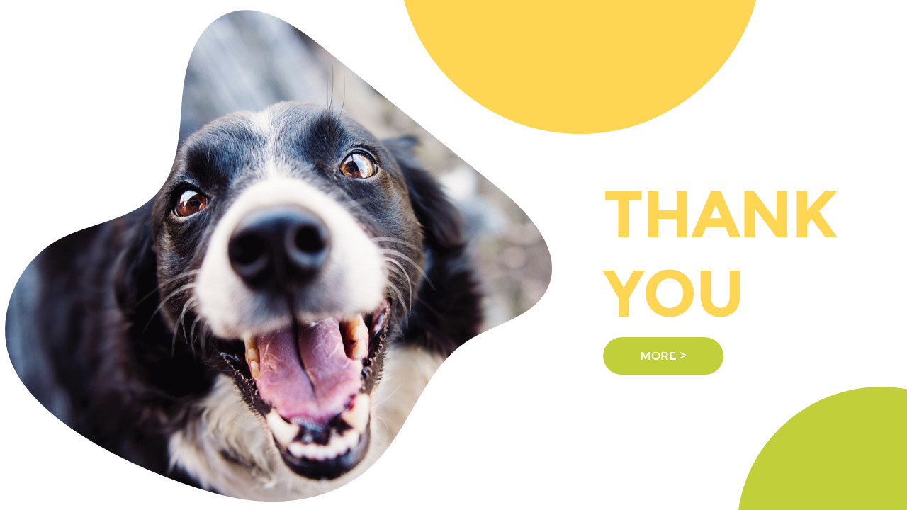 All Dog Breeds Google Slides for mac|Lifestyle